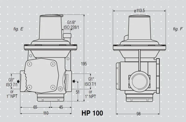 Pietro Fiorentini Gas Pressure Regulator (HP100) – Acads Engineering (M ...